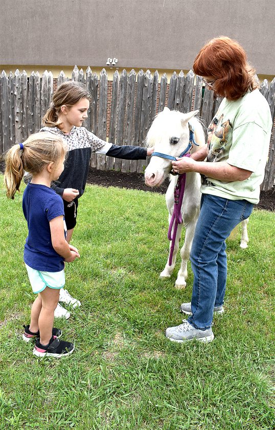 Meet Casper, the friendly pony | News, Sports, Jobs - The Journal